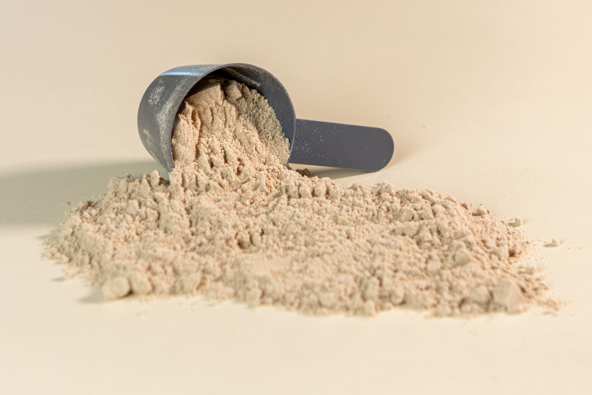 Top 10 Benefits of Protein Powder with the Best Examples